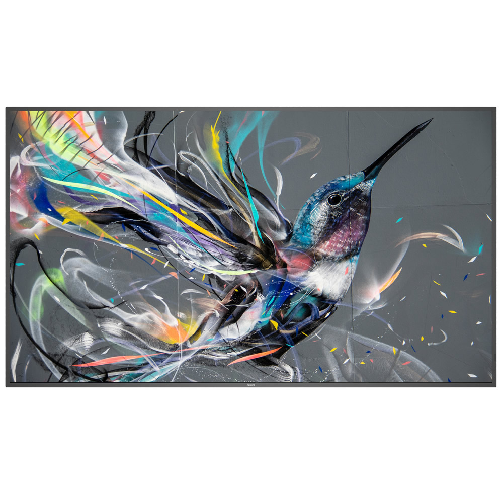 Philips Q-Line 75BDL3511Q Monitor 75 Zoll mit integriertem Mediaplayer ...